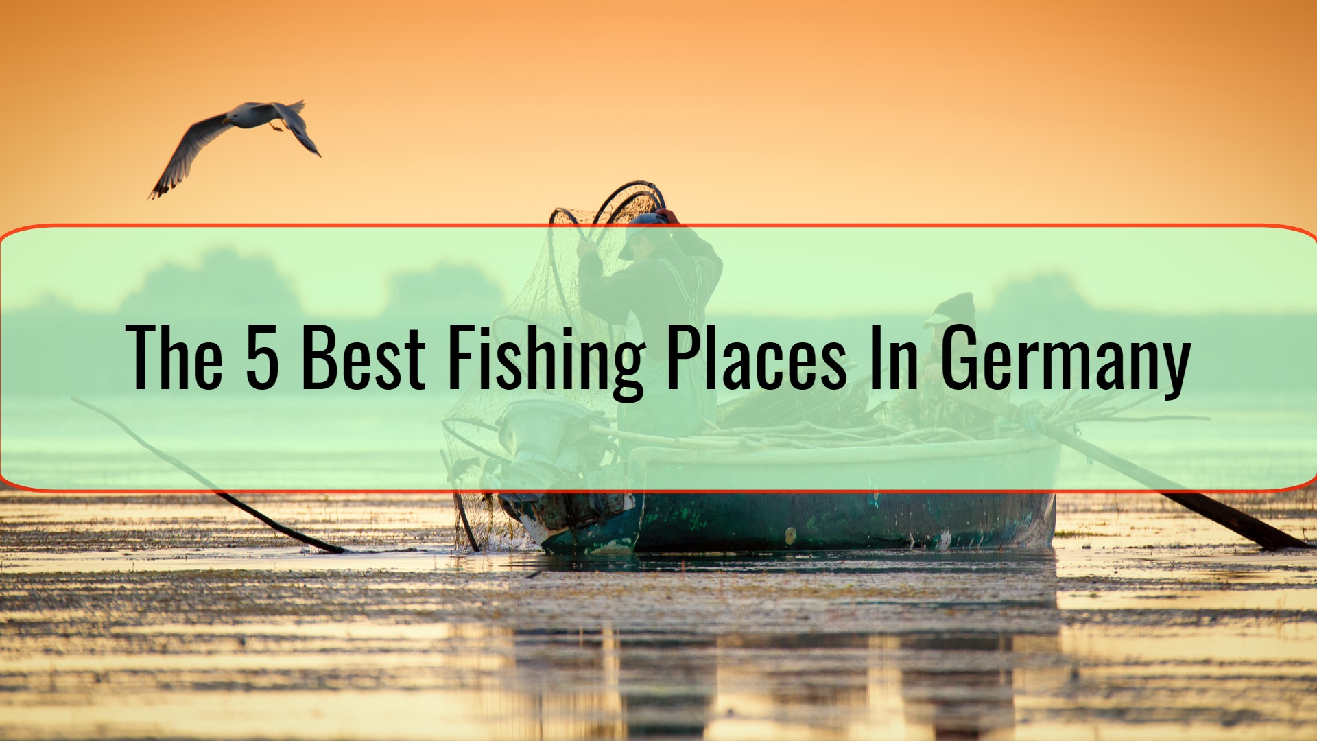 Best Fishing Places In Germany - Where to fish • Travel Tips