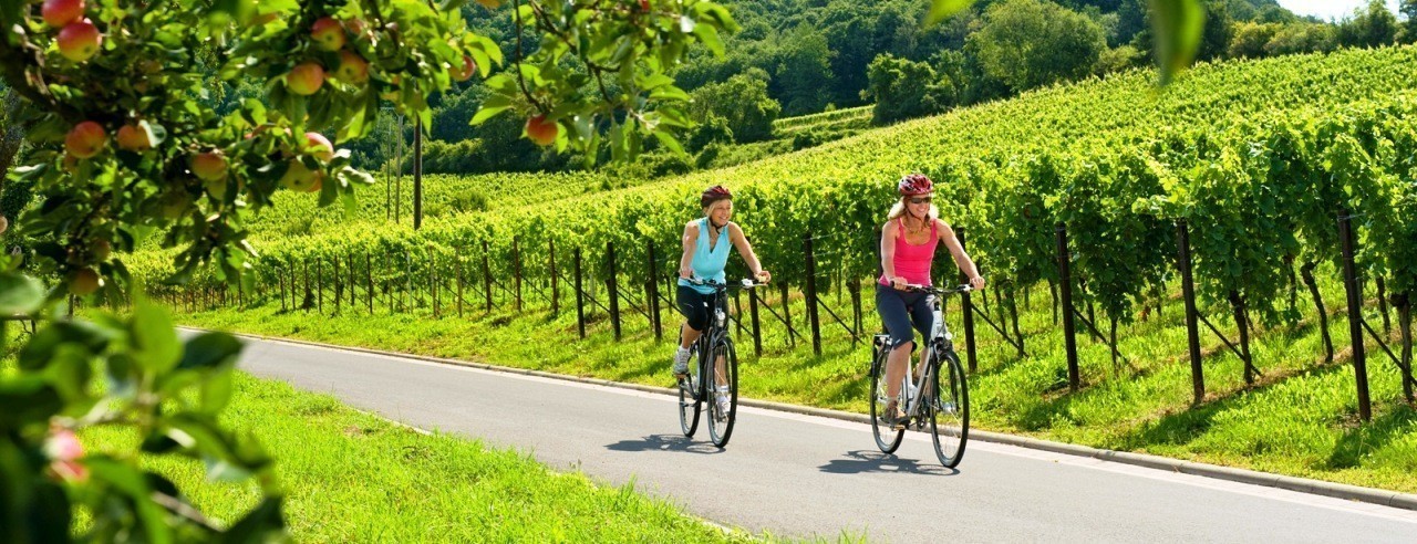 Best Romantic Cycling Routes in Germany • Travel Tips