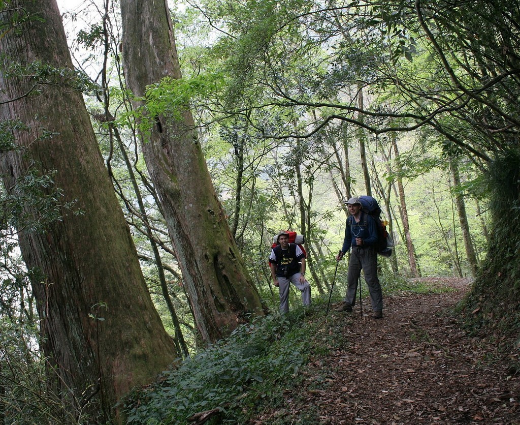 Trekking In Taiwan – The Most Popular Trekking Trails • Travel Tips