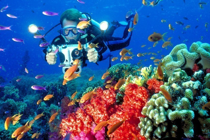 Scuba Diving And Snorkelling Spots In Fiji • Travel Tips