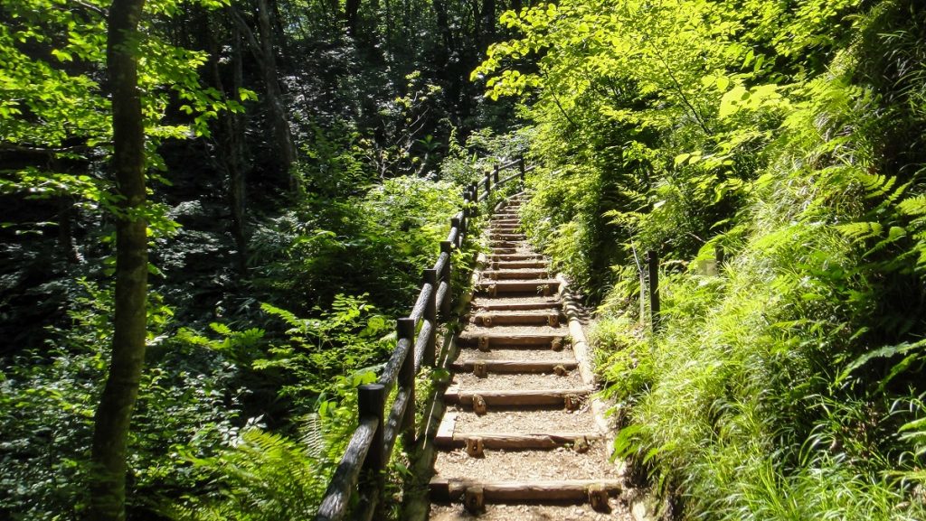 The Most Beautiful Hiking Destinations In Japan • Travel Tips